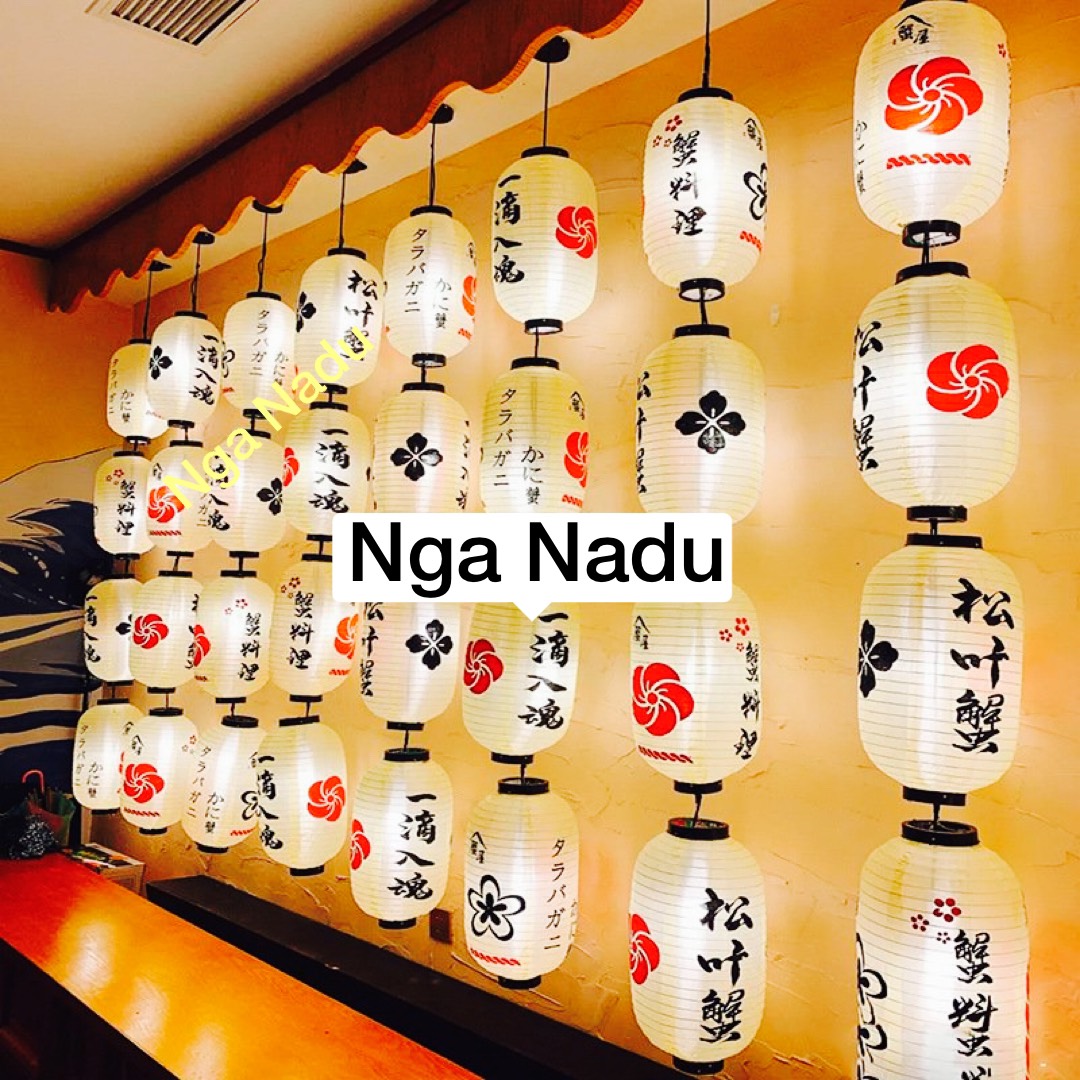 Đèn Lồng Nhật Bản in hình Món ăn - Mèo Thần Tài may mắn trang trí nhà ...
