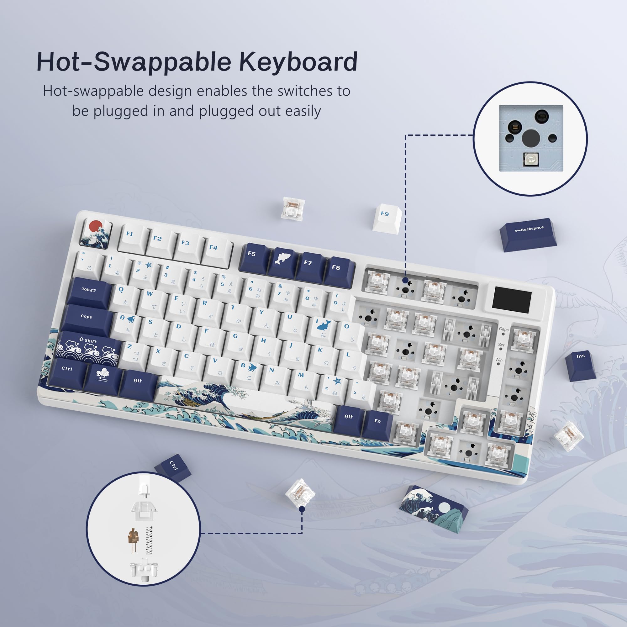 Bàn phím cơ Womier SK80, Màn hình phụ, LED RGB, Hotswap, Full Mod ...