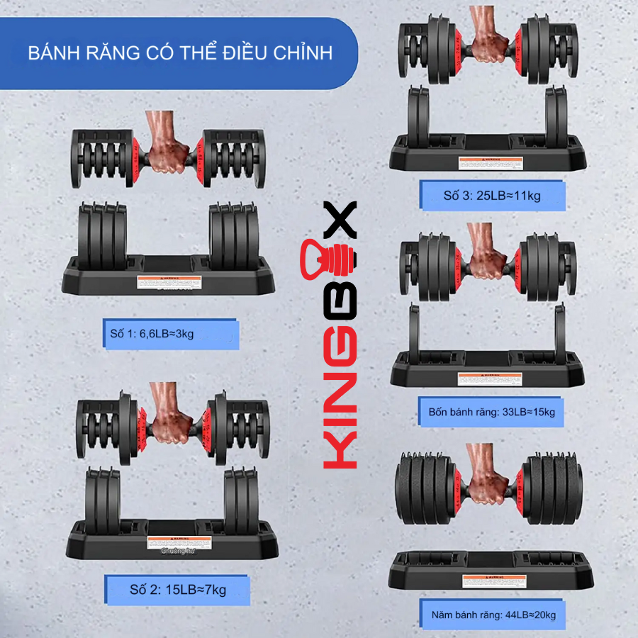 Tạ Tay Điều Chỉnh KingBox Chính Hãng, Tạ tay Chất Liệu Gang Bọc Nhựa Trọng Lượng 20Kg và 25Kg ...
