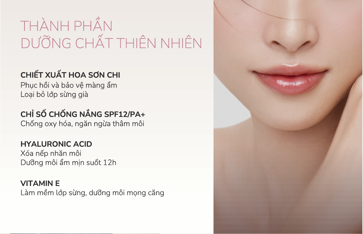 Son dưỡng môi có màu Menard TK Lipstick, 12h dưỡng ẩm, lâu trôi | Shopee Việt Nam