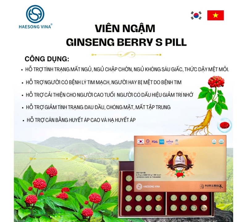 Viên ngậm phòng chống đột quỵ Ginseng Berry S Pill HAESONG VINA, hộp 5 ...