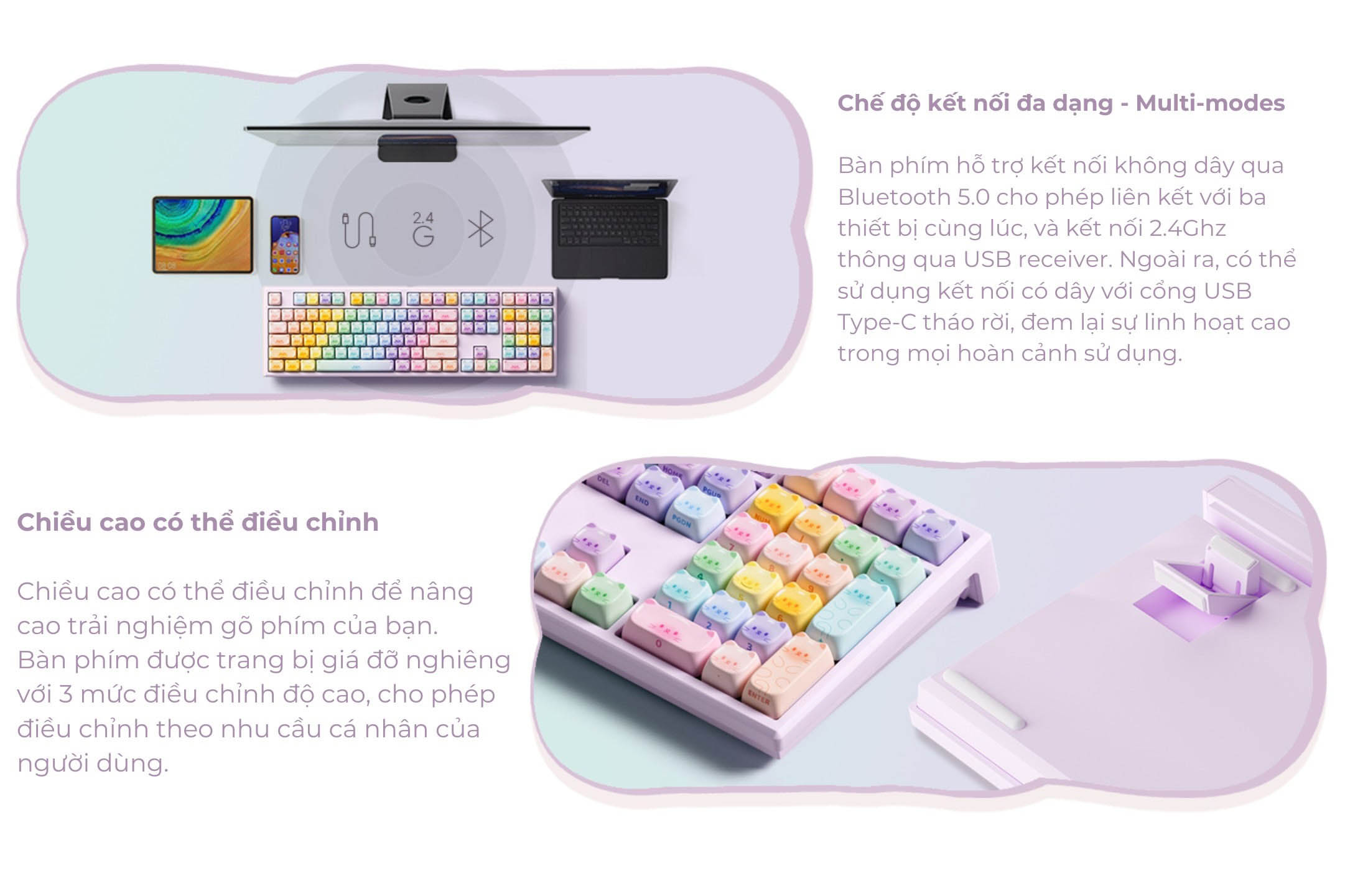 Bàn phím cơ không dây MonsGeek MG108B – Colorful Cats (Multi-modes ...