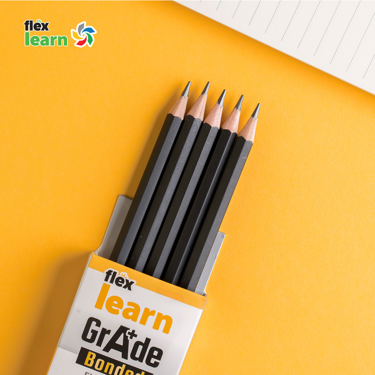 Hộp 12 Bút chì gỗ 2B Flex Learn FLEX-GP002 - Ruột chì 2.8mm cứng cáp hơn dành cho học sinh, sinh ...