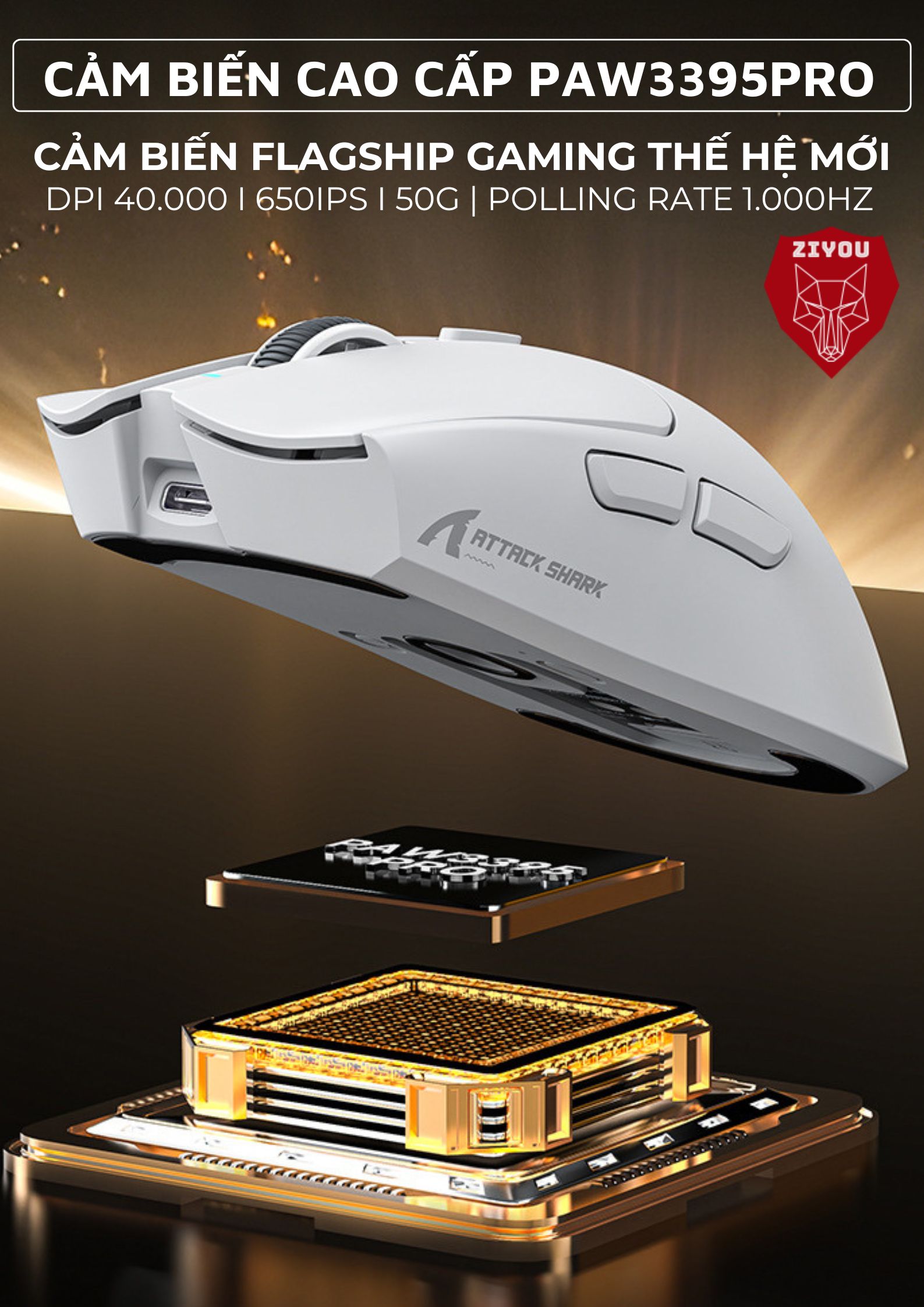 Chuột Gaming Không Dây Ziyou Attack Shark X1 Siêu Nhẹ 53g Chip PAW3395 ...