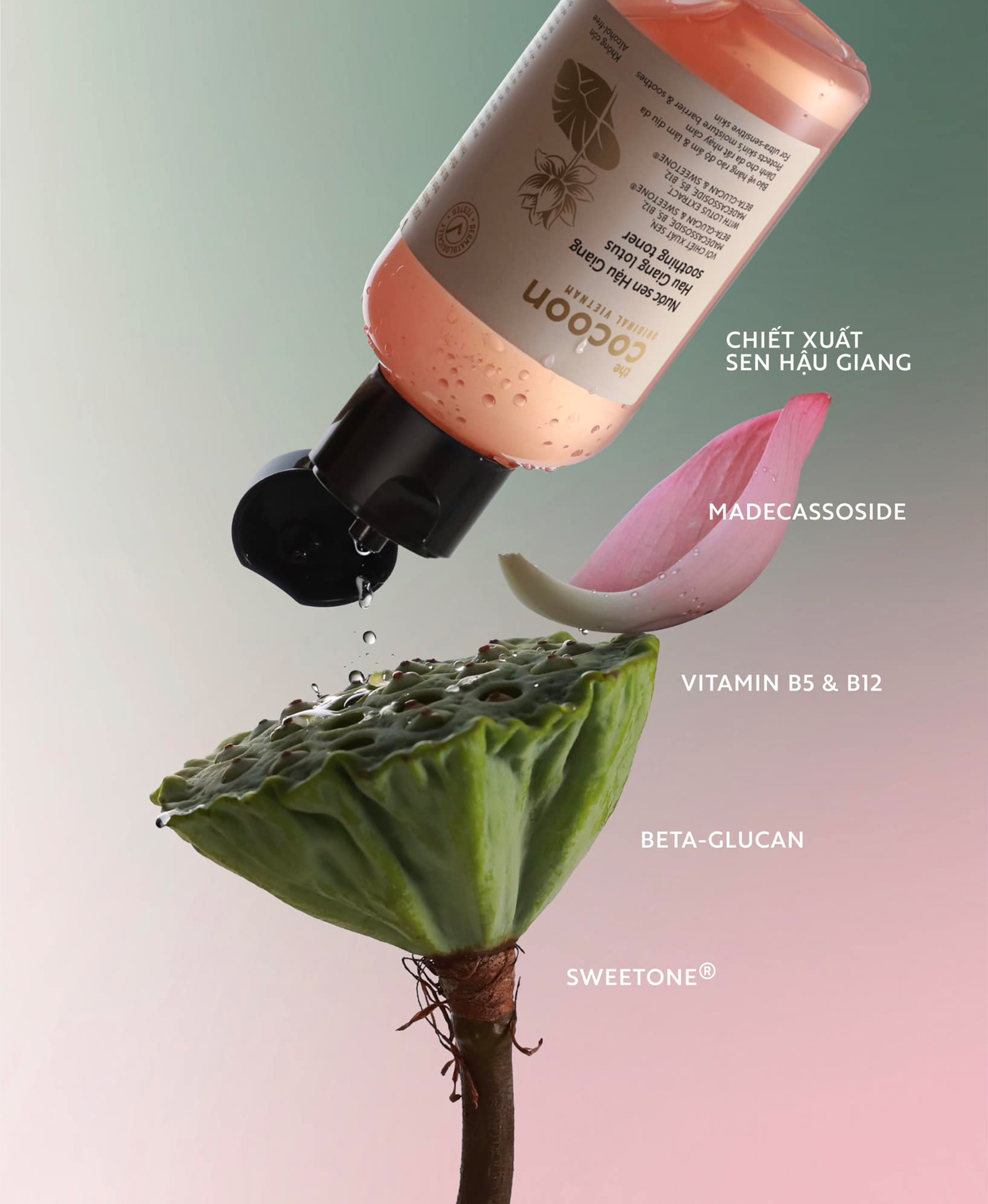 Nước Hoa Hồng Cocoon Sen Hậu Giang Làm Dịu Da Nhạy Cảm Toner | Shopee ...