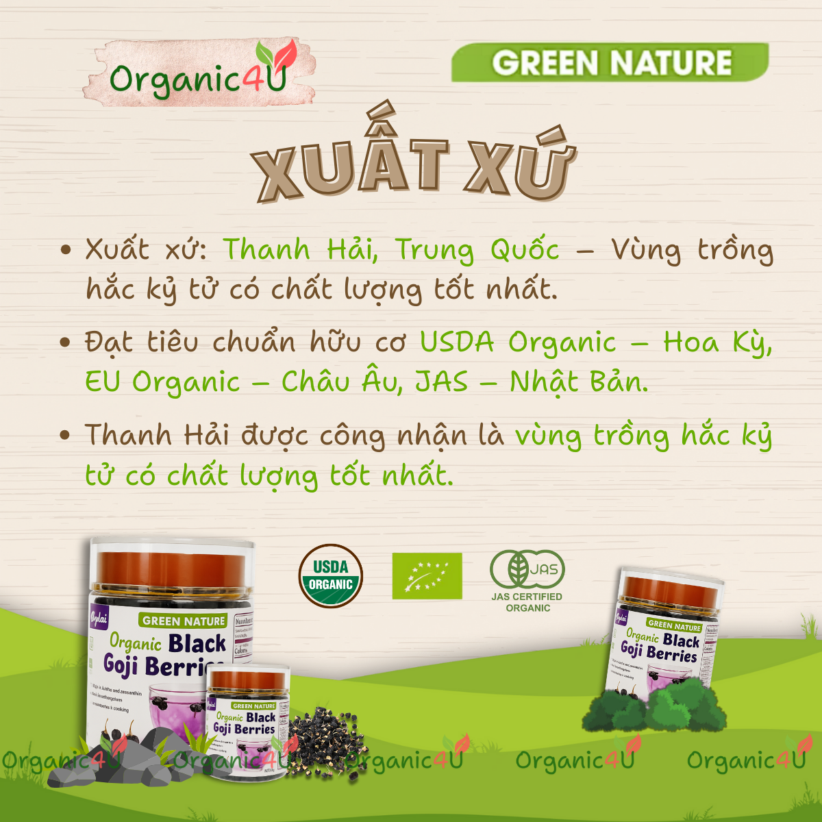 Hắc Kỷ Tử Hữu Cơ GREEN NATURE Organic Black Goji Berries 50g Ăn Vặt Pha ...