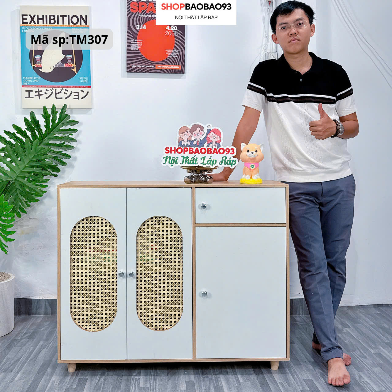 Tủ đựng đồ đa năng tủ decor nhà chất liệu gỗ MDF trang trí nhà phong cách hiện đại - TM307 ...