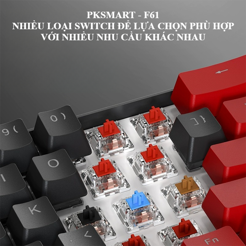 Bàn Phím Cơ Có Dây - PKSMART F61 - LED Nhiều Hiệu Ứng - Keycap ABS Xuyên Led - Blue Red Switch ...