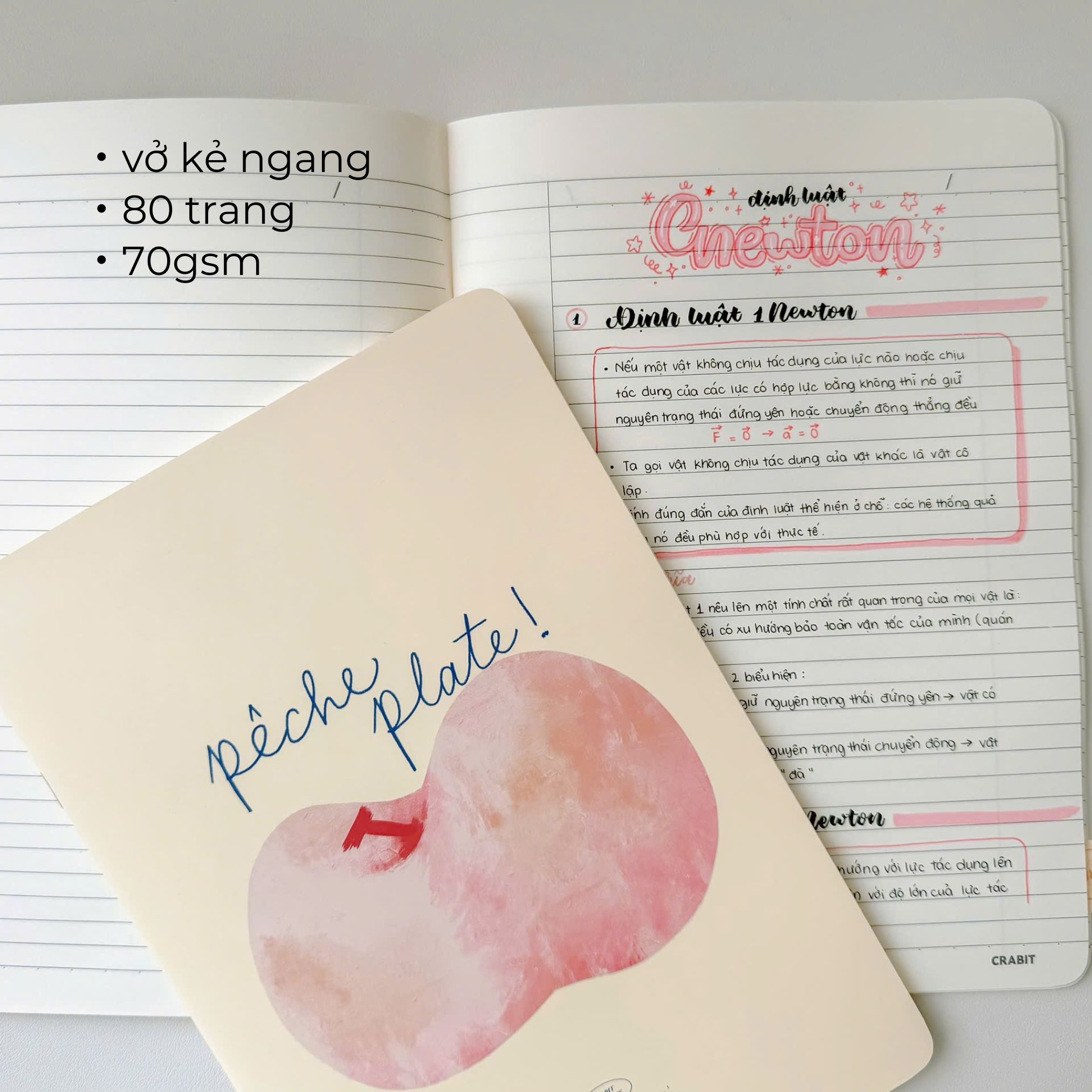 Vở kẻ ngang 120 trang 80 trang tập học sinh Crabit Ribbon Collection ...