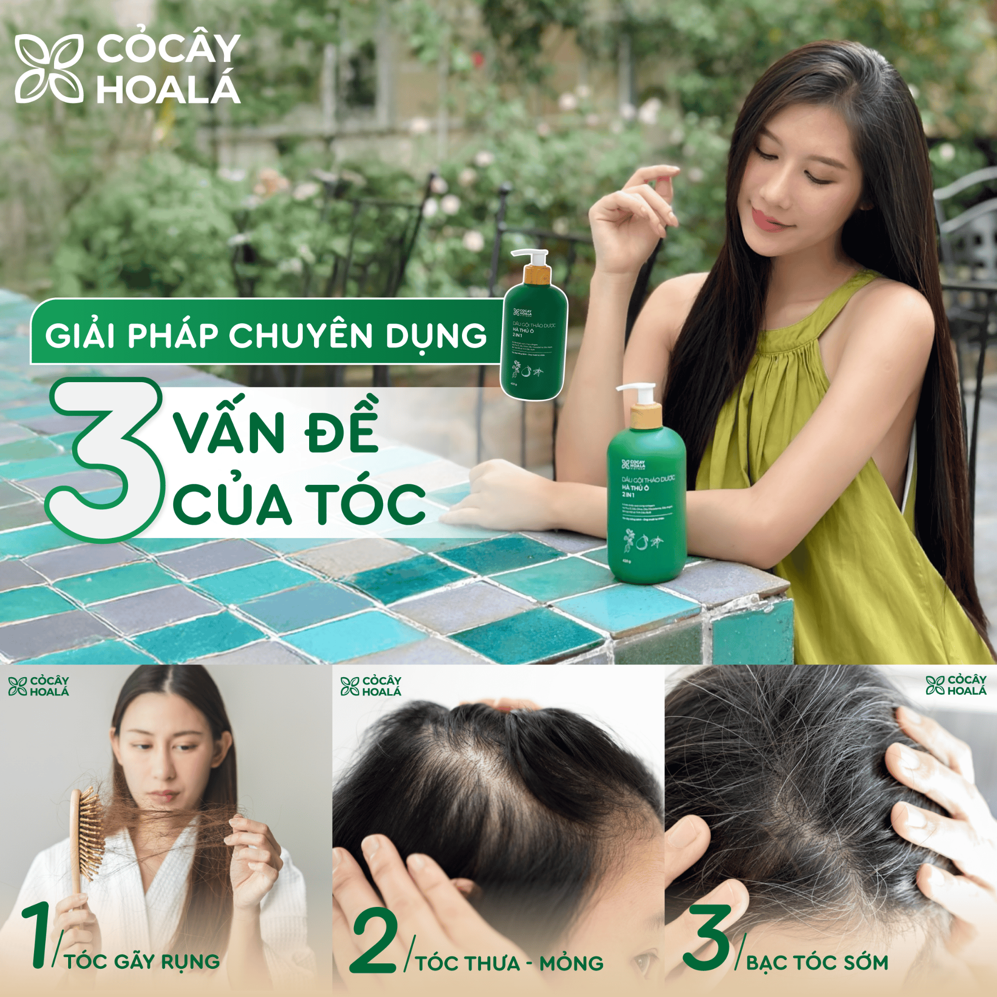 Dầu Gội Thảo Dược Hà Thủ Ô 2in1 Cỏ Cây Hoa Lá 420g - DƯỠNG ẨM CHO TÓC ĐEN MỀM MƯỢT | Shopee Việt Nam