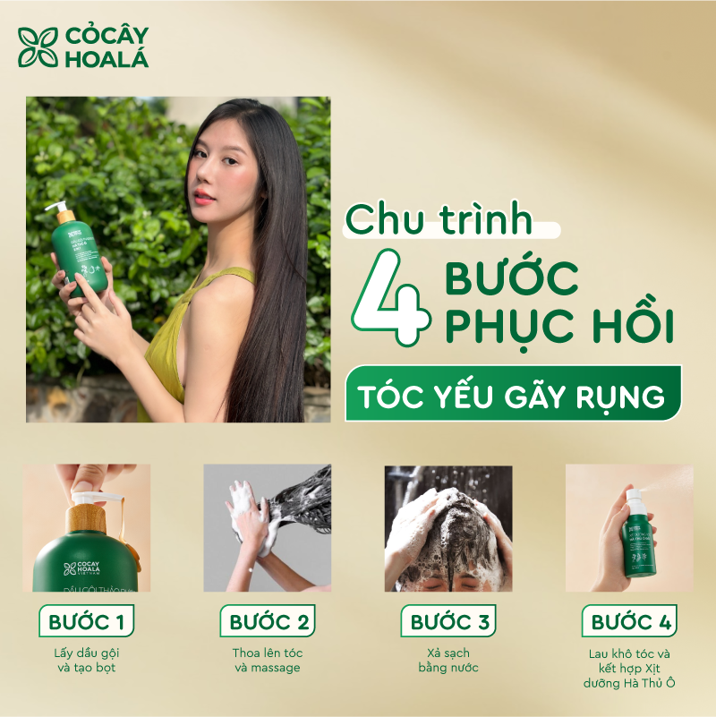 Dầu Gội Thảo Dược Hà Thủ Ô 2in1 Cỏ Cây Hoa Lá 420g - DƯỠNG ẨM CHO TÓC ĐEN MỀM MƯỢT | Shopee Việt Nam