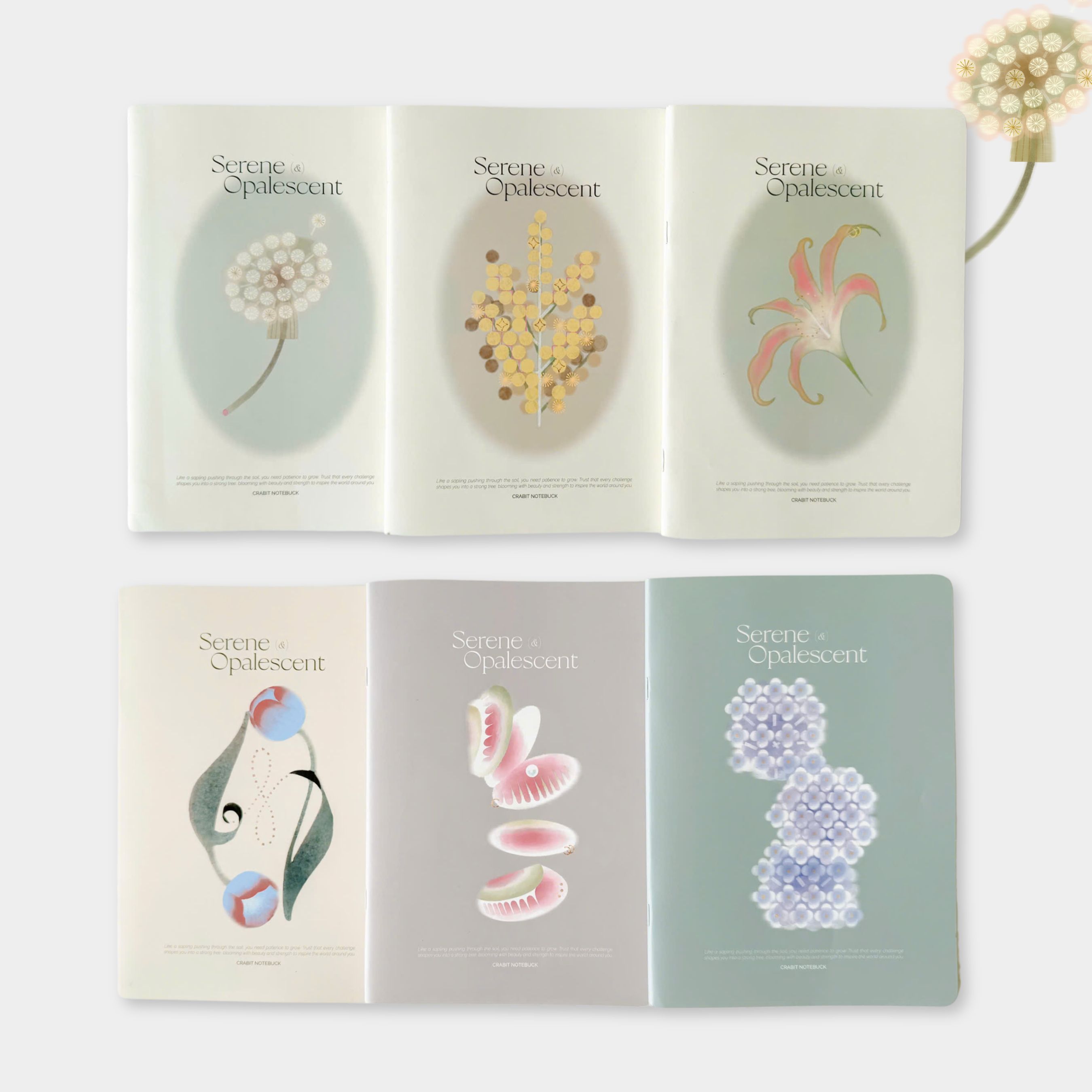 Vở kẻ ngang 80 120 trang Crabit tập học sinh ghi chép set vở xinh cute ...