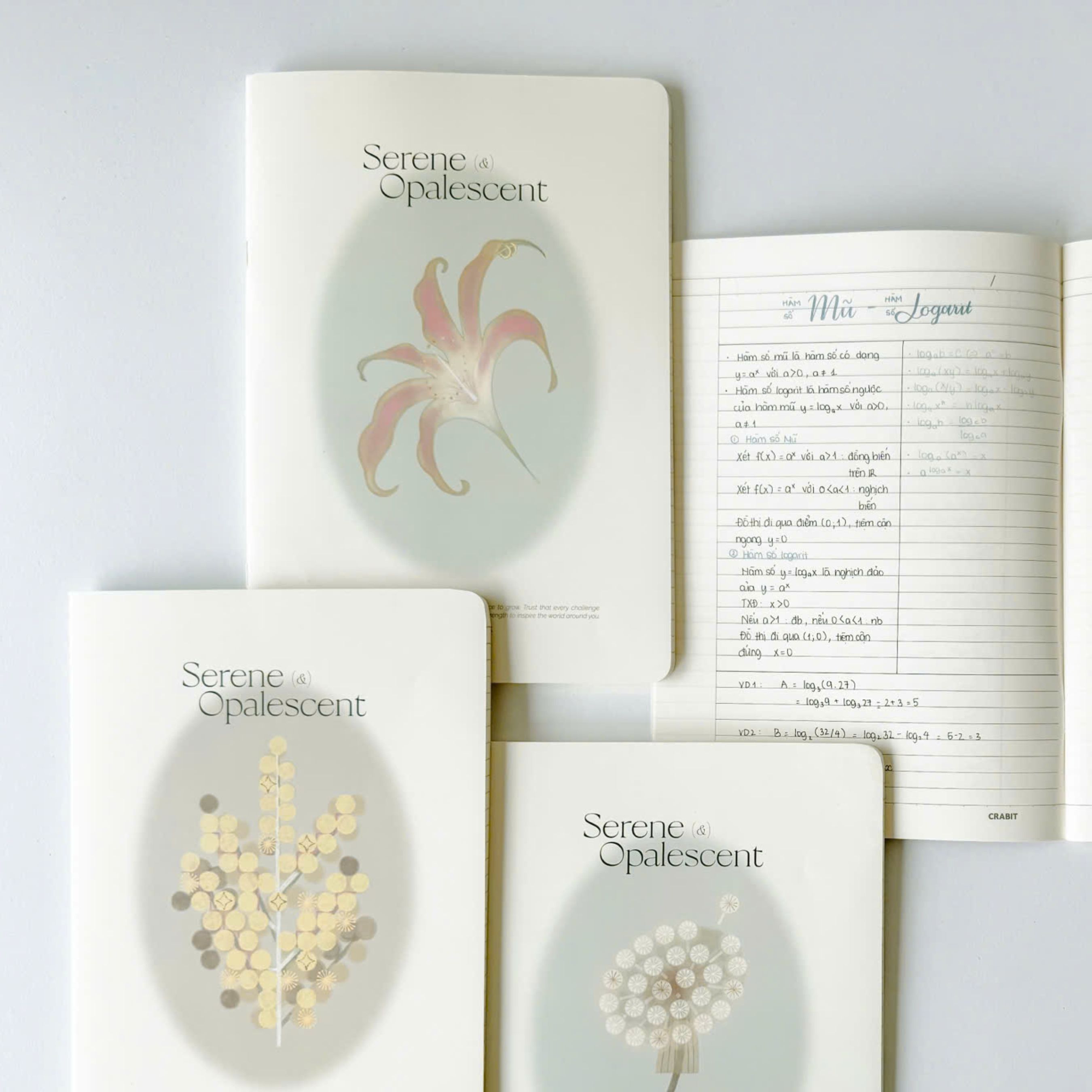 Vở kẻ ngang 80 120 trang Crabit tập học sinh ghi chép set vở xinh cute ...