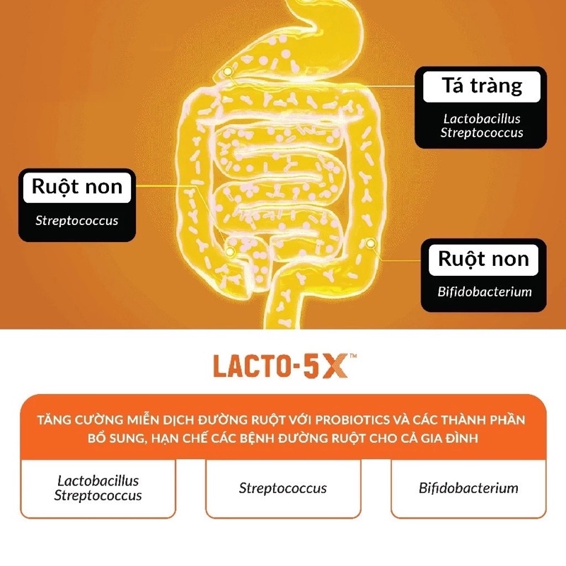 Lợi khuẩn tốt cho Tiêu hoá LactoFit Hàn Quốc Mẫu mới, Lợi Khuẩn Lacto ...