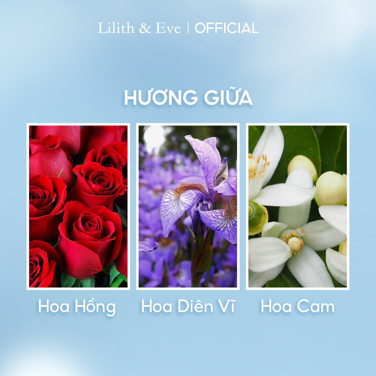 Combo nước hoa Lilith and Eve Morning Devotion + Loss of Innocence ...