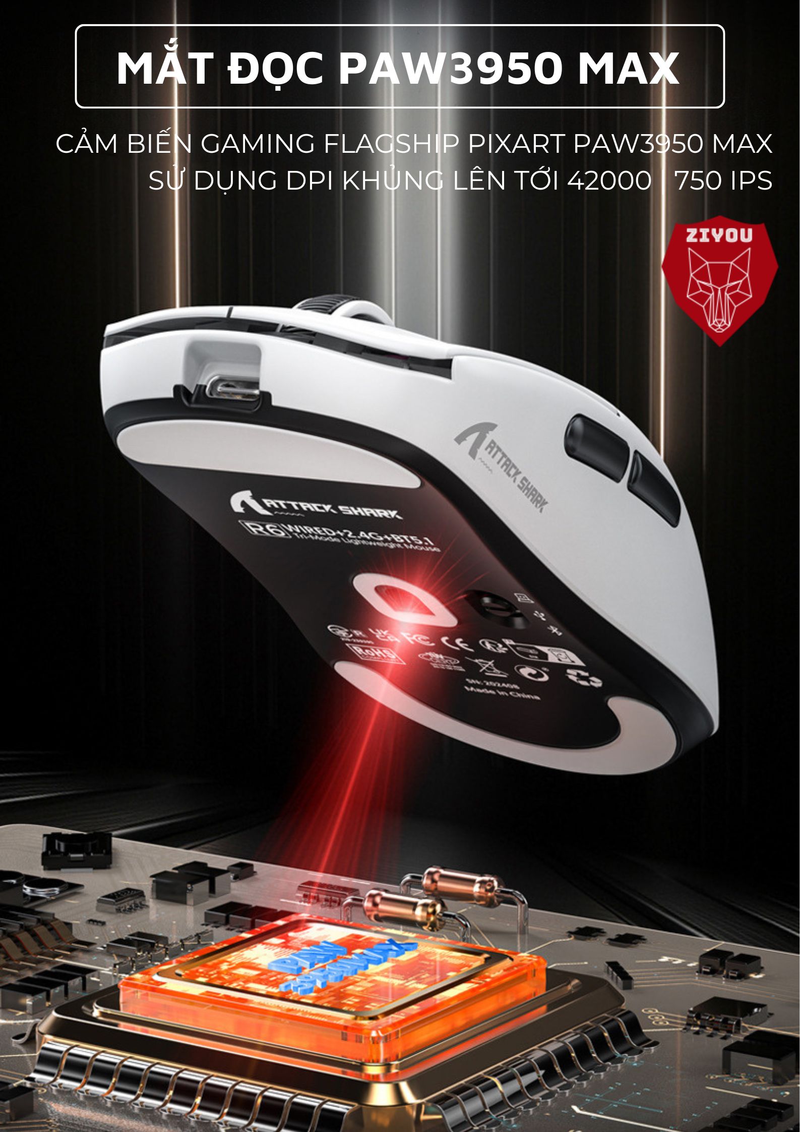 Chuột Không Dây Gaming Attack Shark R6 Siêu Chip PAW3950MAX 42000DPI ...
