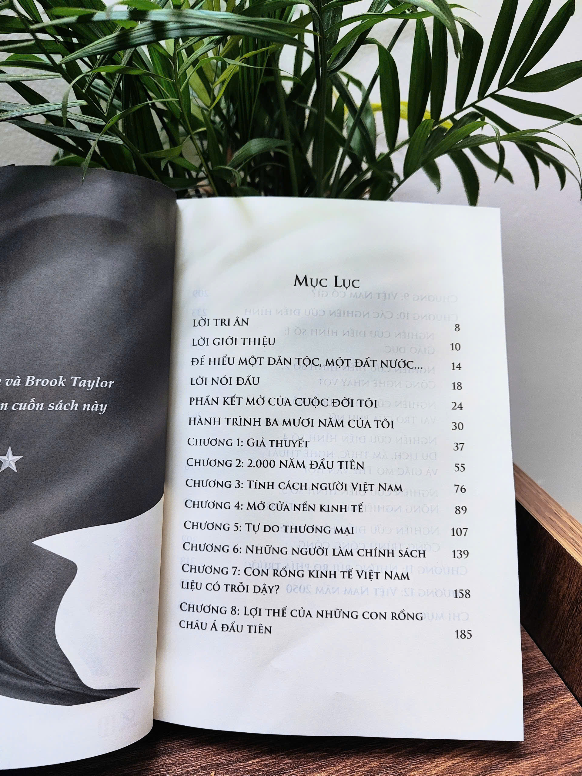 Sách – Việt Nam Ngôi Sao Đang Lên Của Châu Á – Brook Taylor, Sam ...