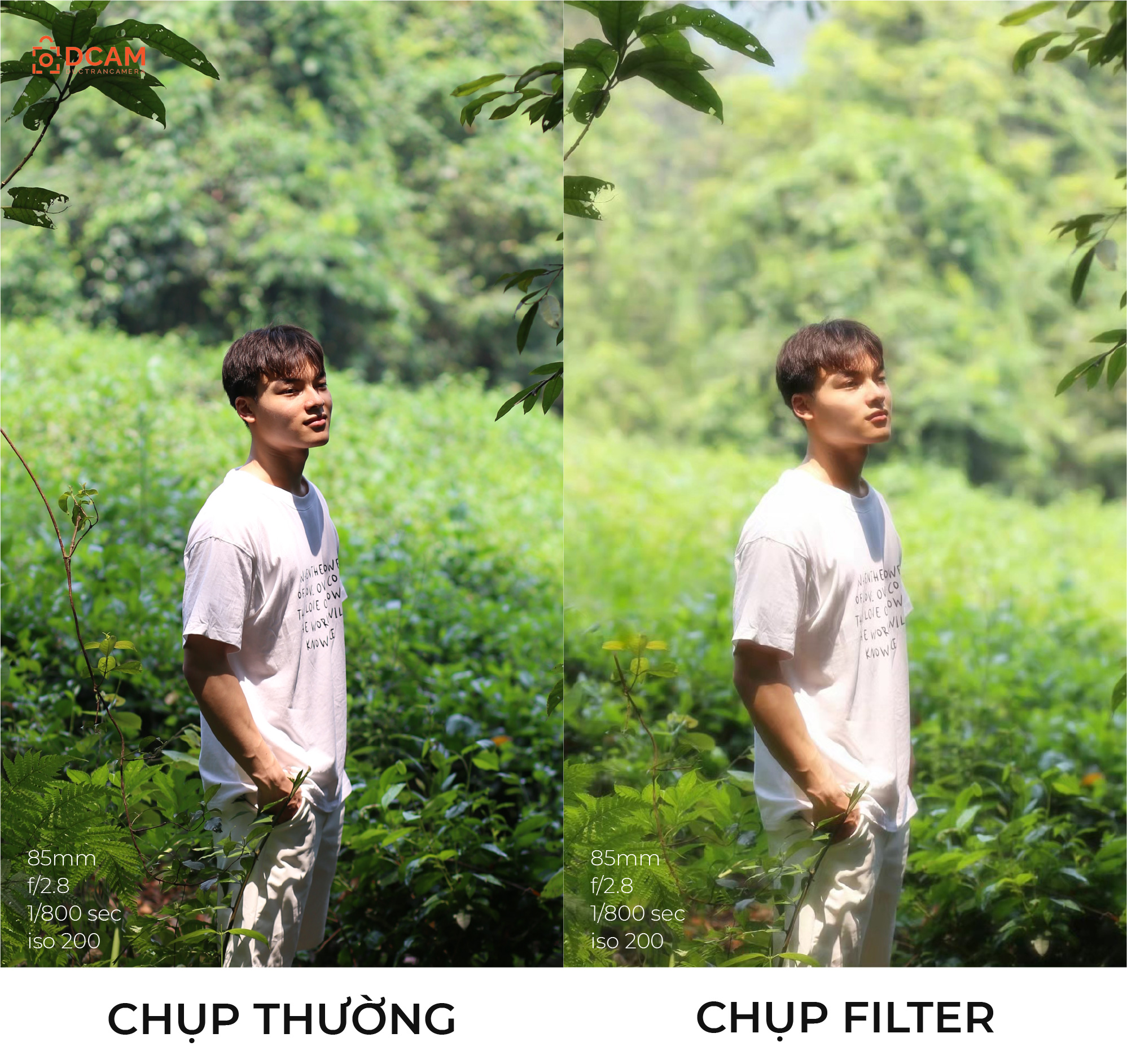 Filter Soft Light tạo hiệu ứng mờ ảo nhẹ nhàng có ảnh minh họa | Shopee ...