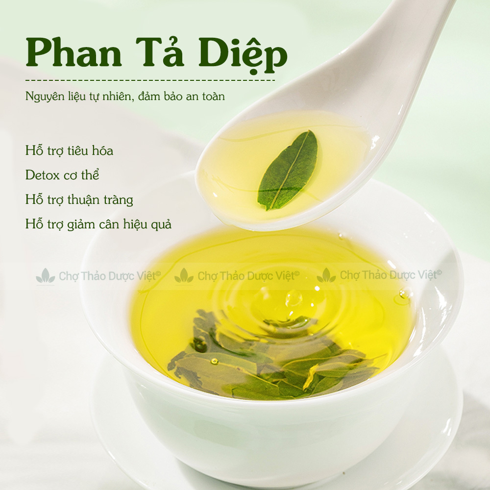 Phan tả diệp 1kg, lá phan tả diệp khô, sạch, không vụn, không lẫn tạp chất - Chợ Thảo Dược Việt ...
