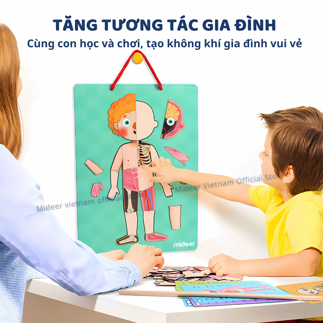Xếp Hình Nam Châm Cơ Thể Mideer Human Body Magnetic Puzzle | Shopee ...