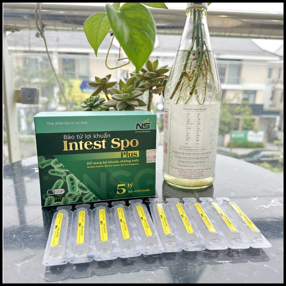 Lợi khuẩn đường ruột Intest Spo Plus ,giảm rối loạn tiêu hóa, hộp 20 ...