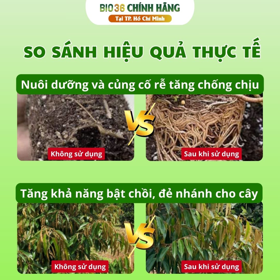 Phân Bón Bio36 Kích Rễ, Bio 36 Đâm Rễ Mạnh, Đẩy Đọt Nhanh, Phục Hồi Cây ...