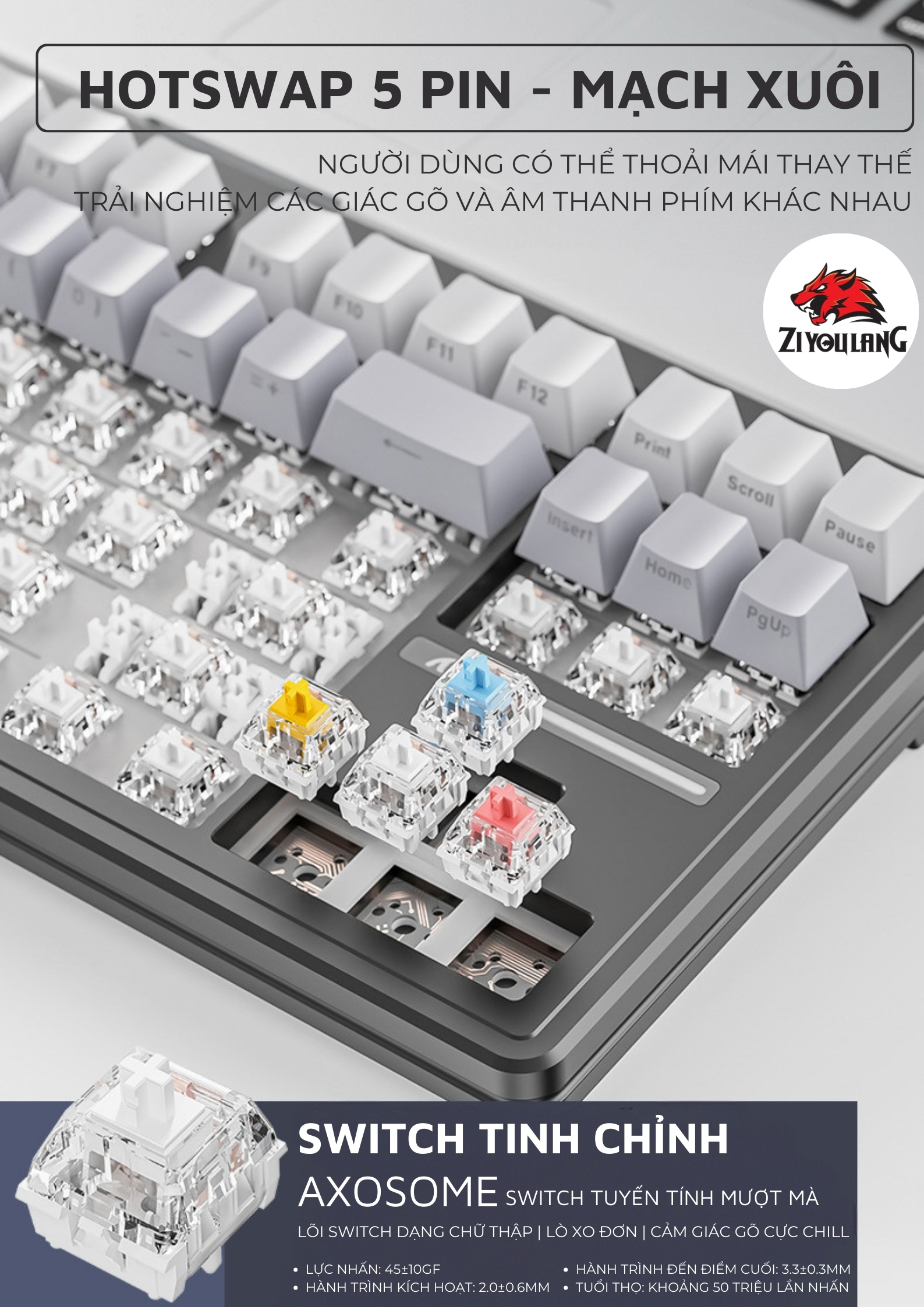 Bàn Phím Cơ Bluetooth Gaming ZiyouLang XINMENG XM87 VIP PRO V2 Nâng Cấp ...