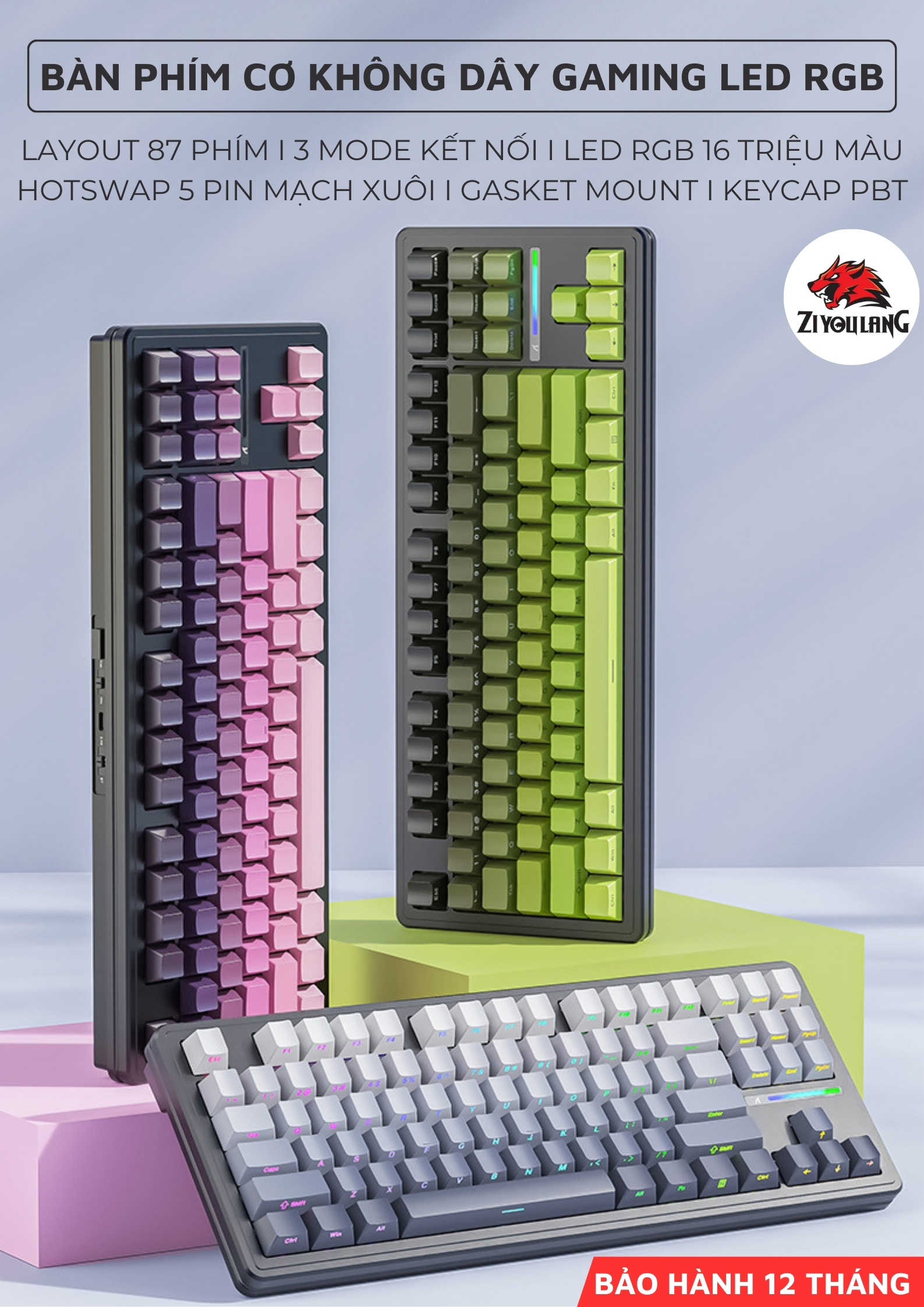 Bàn Phím Cơ Bluetooth Gaming ZiyouLang XINMENG XM87 VIP PRO V2 Nâng Cấp ...