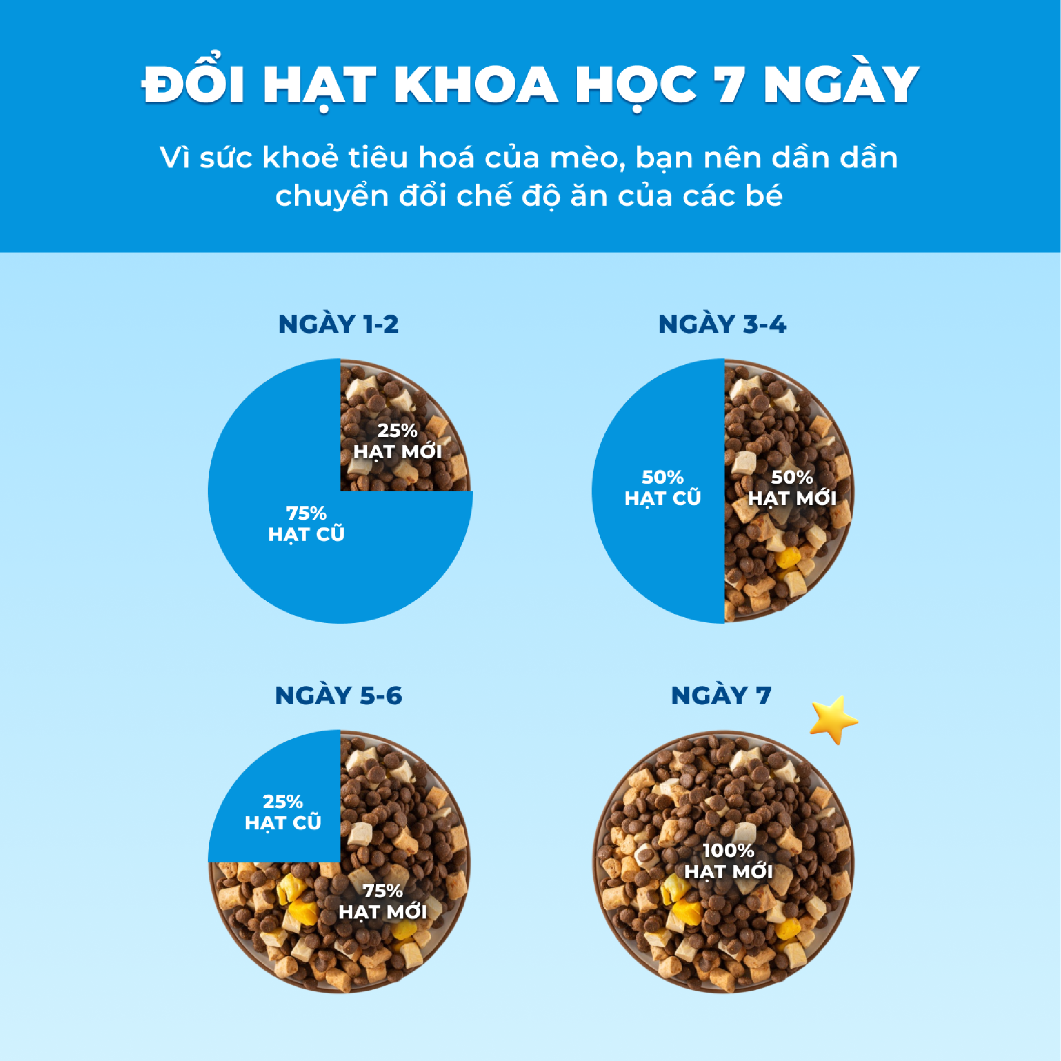 Thức Ăn Cho Mèo MRVET Dạng Hạt T1 / T2 Combo 1, 3 & 5 Gói 300G Với 30% Protein Cho Mèo Mọi Lứa ...
