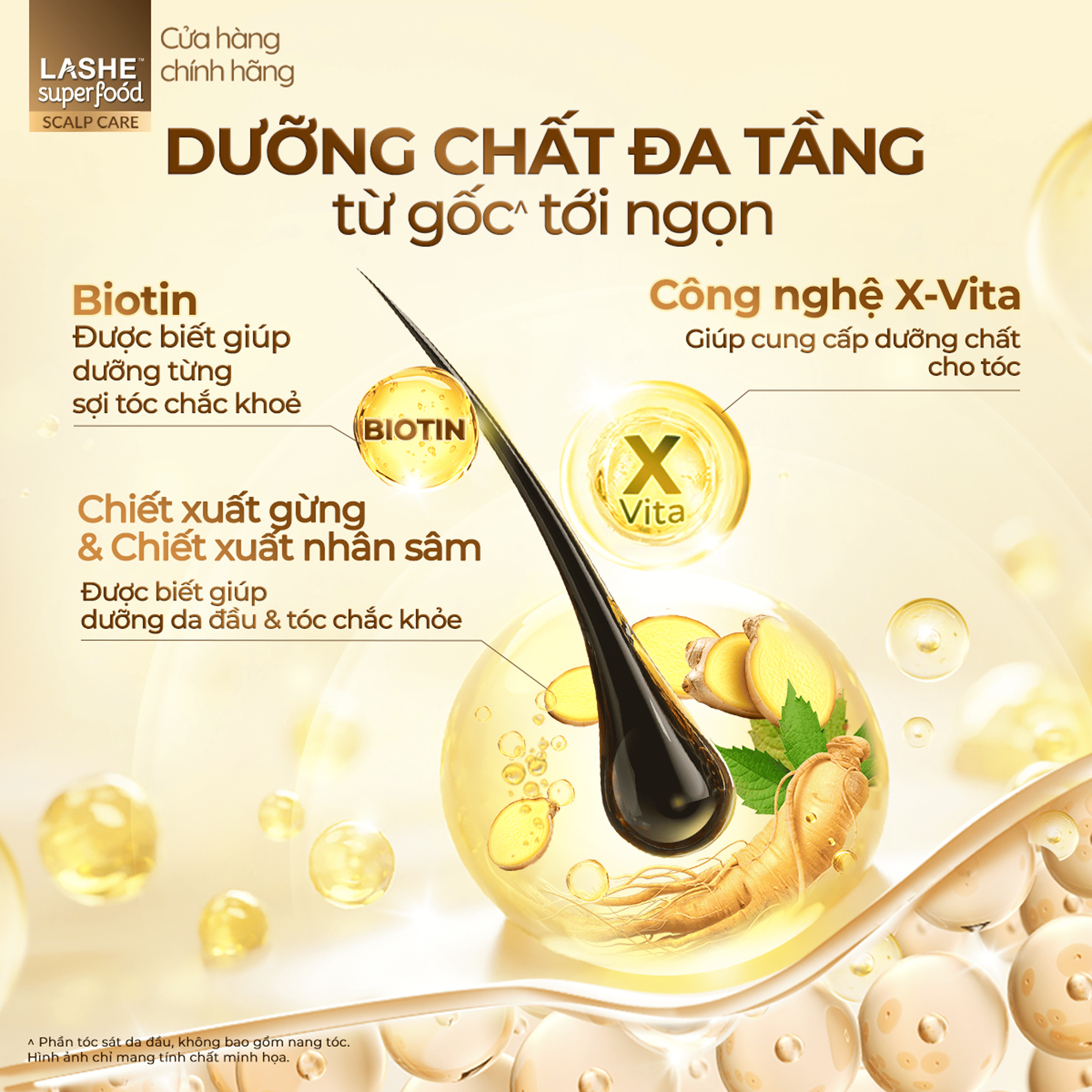 [MỚI RA MẮT] Xịt Dưỡng Chất Đa Tầng Cho Tóc Lashe Superfood Scalp Care 85ml Ngăn Gãy Rụng ...