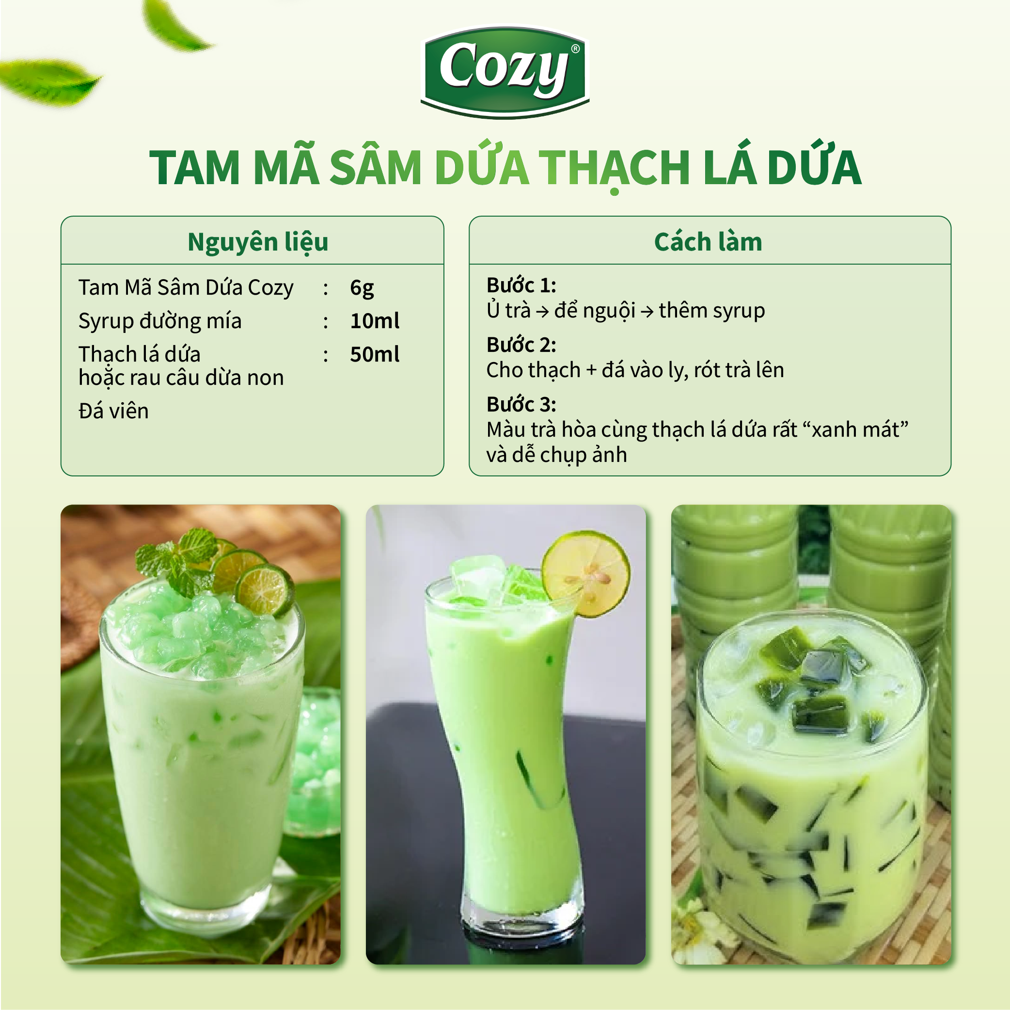 Cozy Trà Lài Tam Mã Dùng Trong Pha Chế Trà Chanh, Trà Tắc, Hỗ Trợ Giải ...