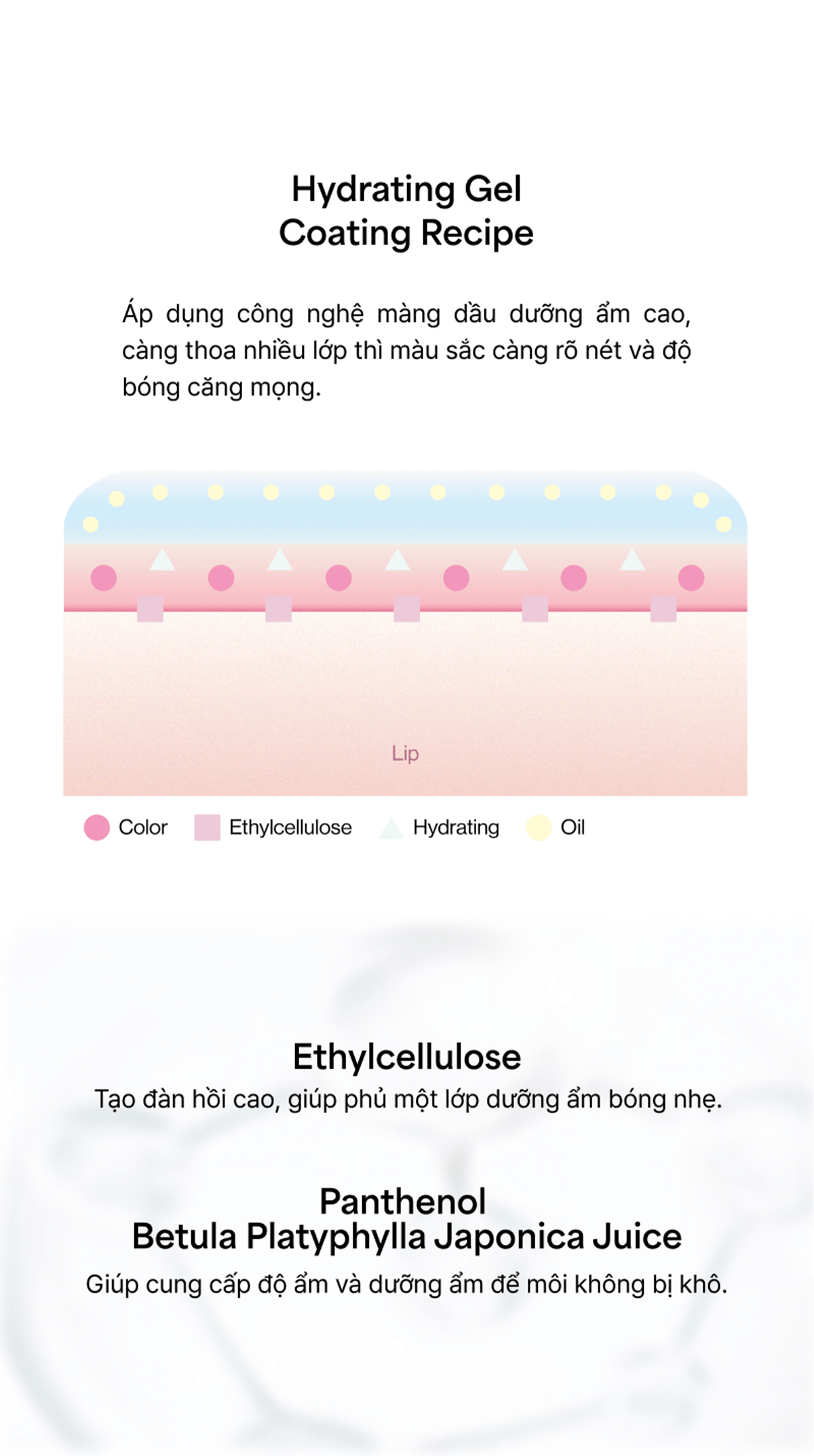 ENTROPY Amber Charm- 492C Son Charm Tint Glossy Gel Công Nghệ Gel Dưỡng ...