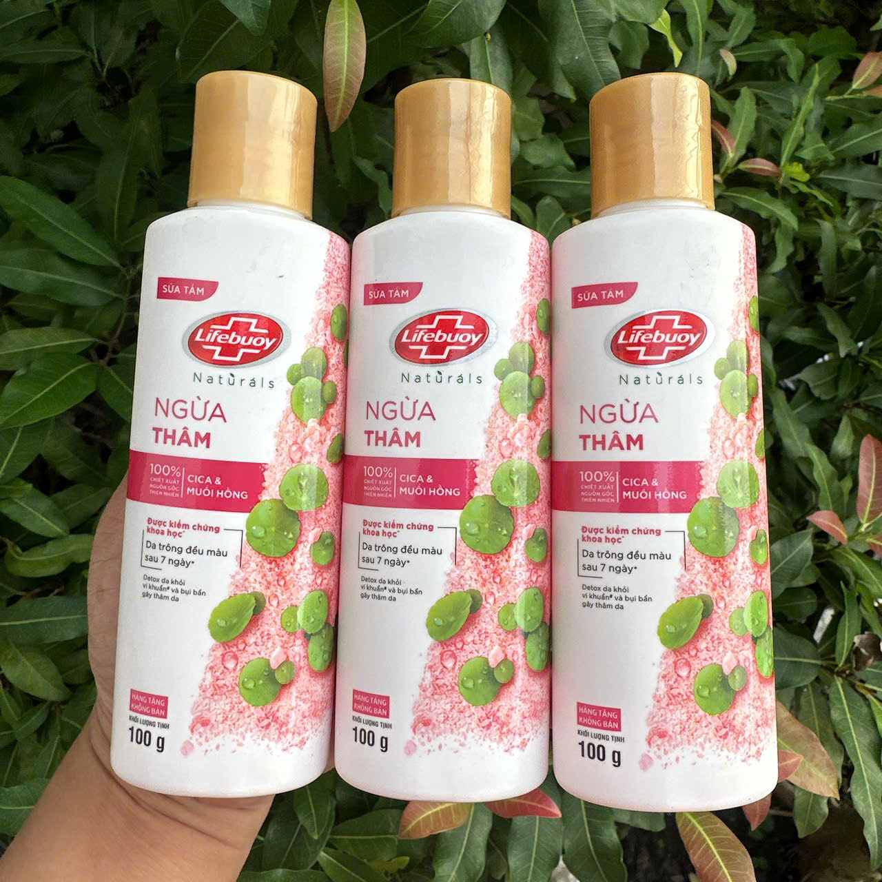 (3x100g) Set 3 Chai Sữa Tắm LIFEBUOY Muối hồng & Cica 100G (Hàng khuyến ...