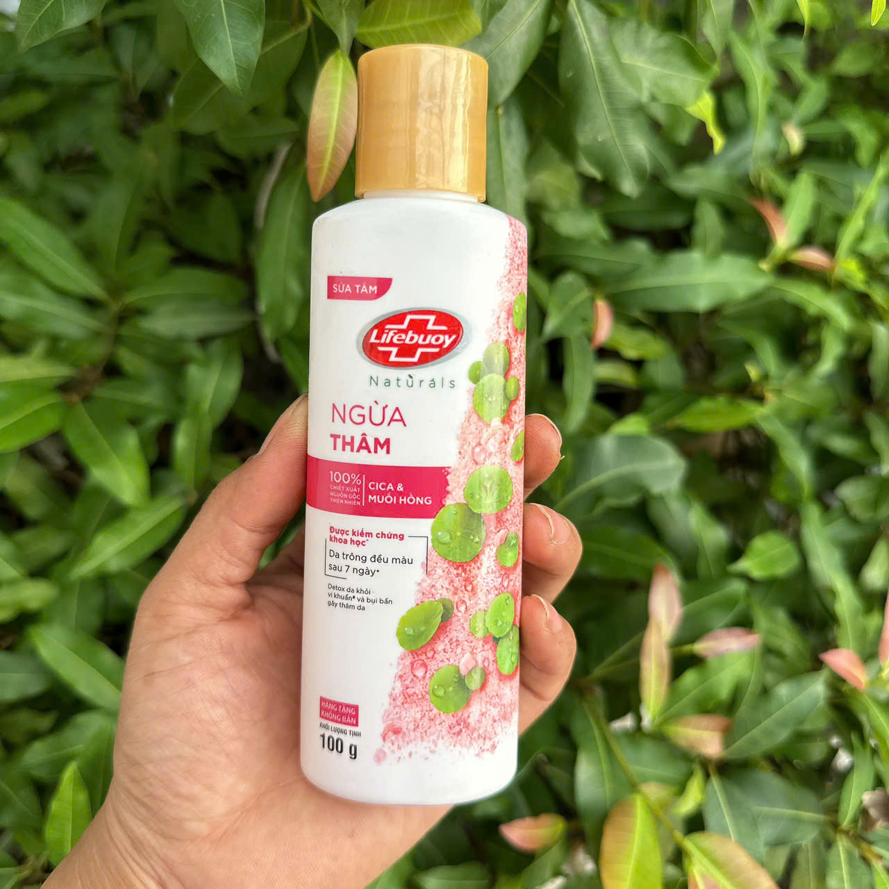 (3x100g) Set 3 Chai Sữa Tắm LIFEBUOY Muối hồng & Cica 100G (Hàng khuyến ...