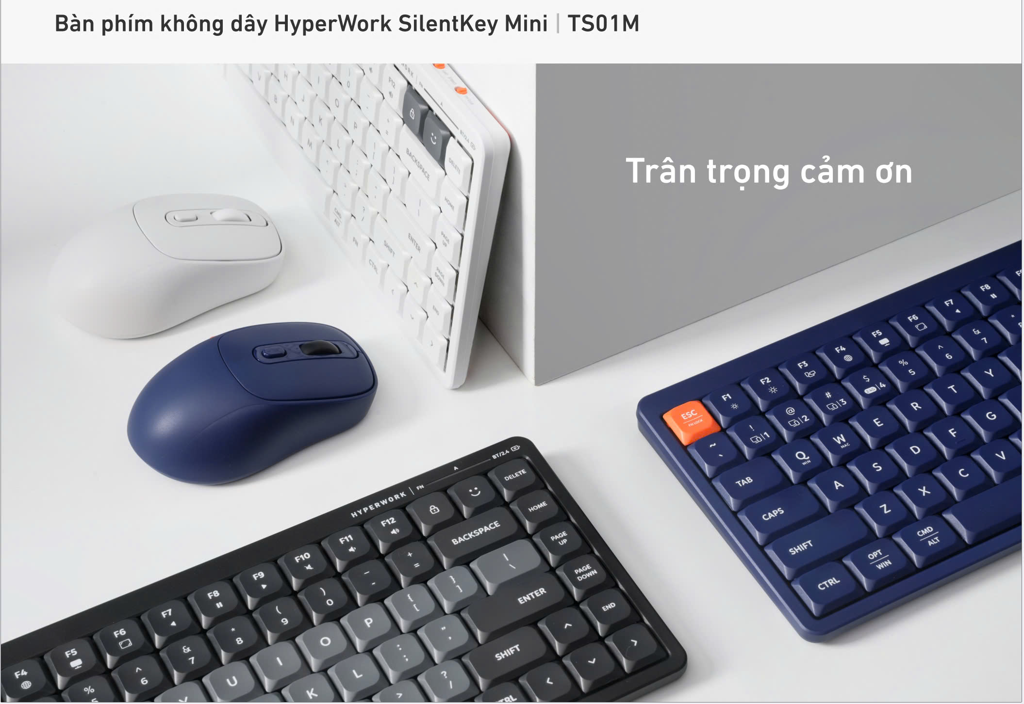 Bàn phím không dây HyperWork SilentKey Mini TS01M ( Bluetooth/2.4GHHz/Dây Type C) Chính Hãng ...