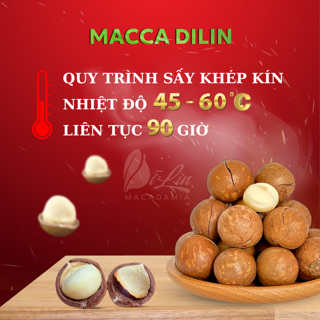 DiLin Macadamia - Hạt Macca Cao Cấp (Lon 500g) | Shopee Việt Nam