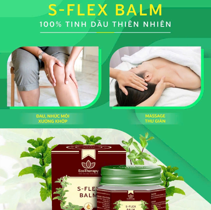 Cao Xoa Dược Liệu Ecotherapy Zenflex, S-flex Balm Thư Giãn Hỗ Trợ Giảm ...