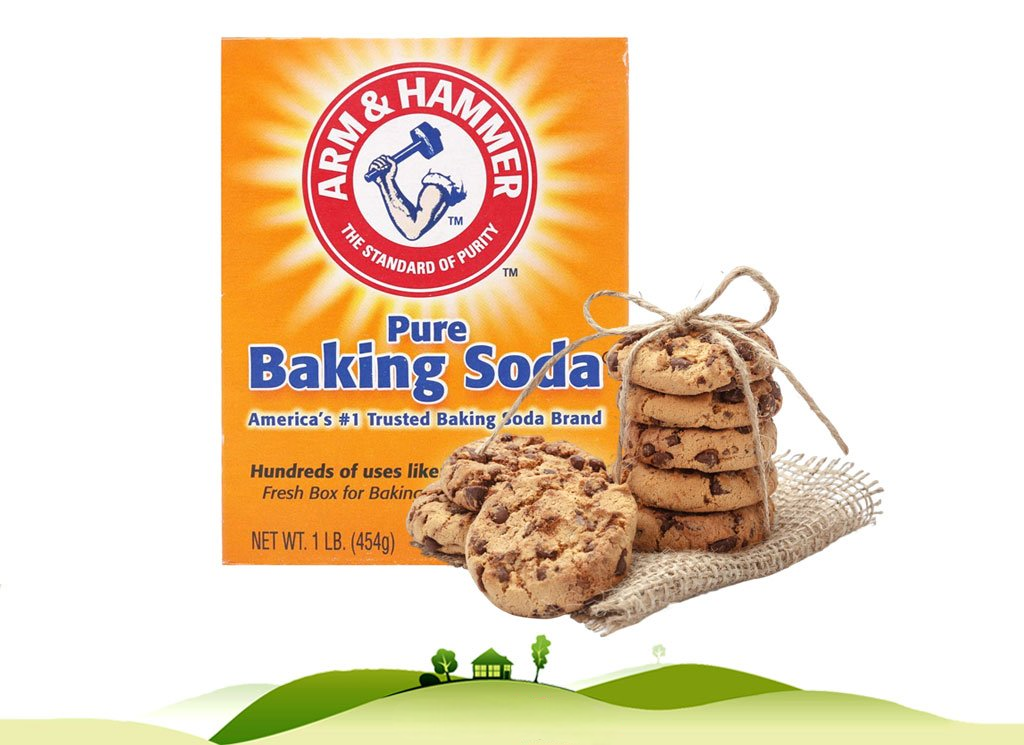Bột Baking Soda Arm & Hammer 454g – Làm Bánh, Khử Mùi, Tẩy Rửa, Vệ Sinh ...