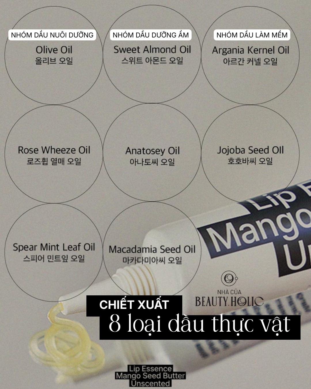 Tinh chất dưỡng môi HETRAS MANGO SEED BUTTER LIP ESSENCE | Shopee Việt Nam