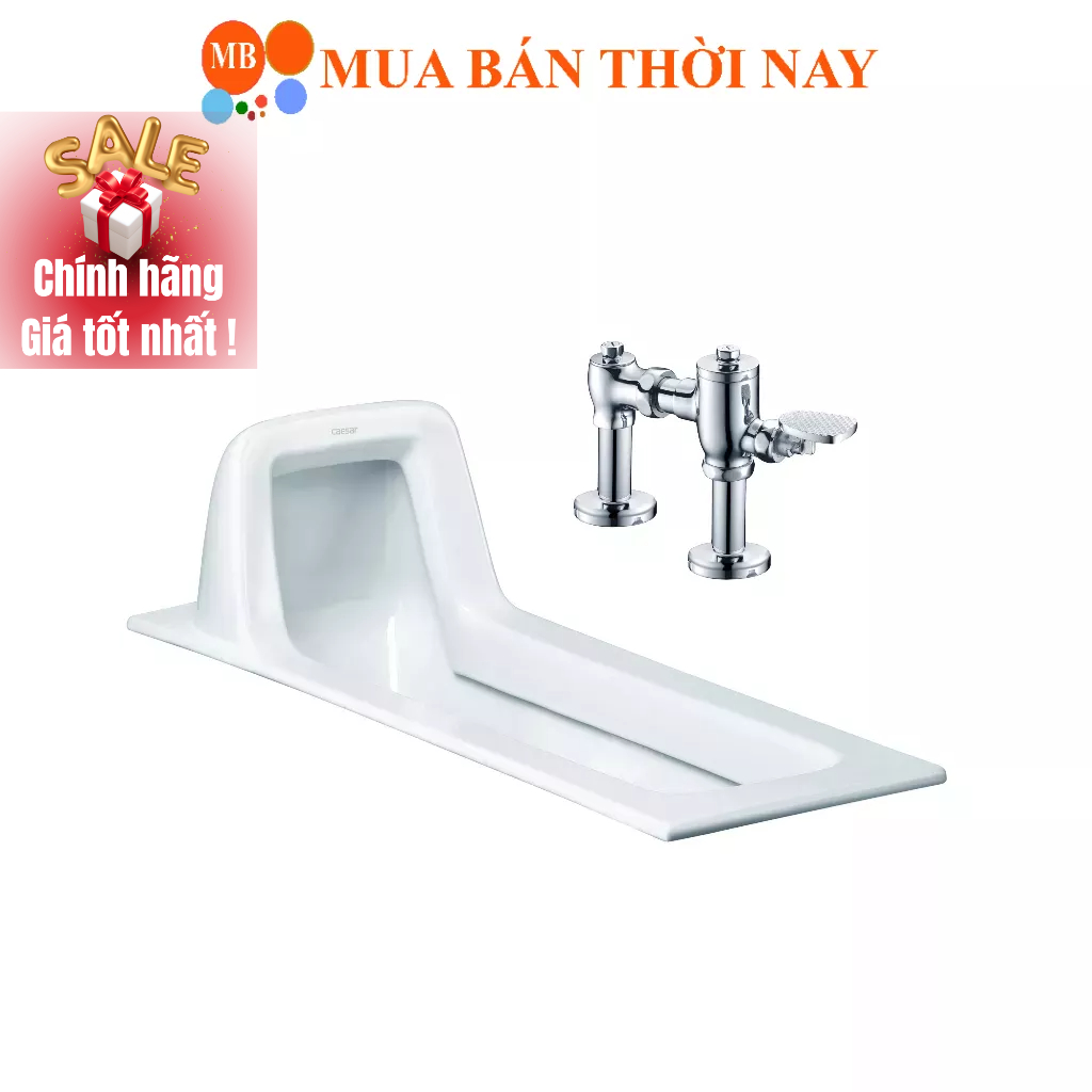 Bồn cầu xổm CAESAR C1230 kiểu dáng mới 2023, Kết hợp Van xả gạt dùng để ...