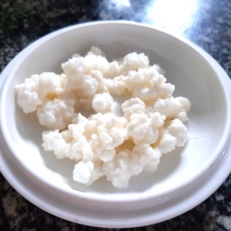Nấm Kefir Làm Sữa Chua / Nấm Tây Tạng / Con Men Làm Sữa Chua | Shopee ...