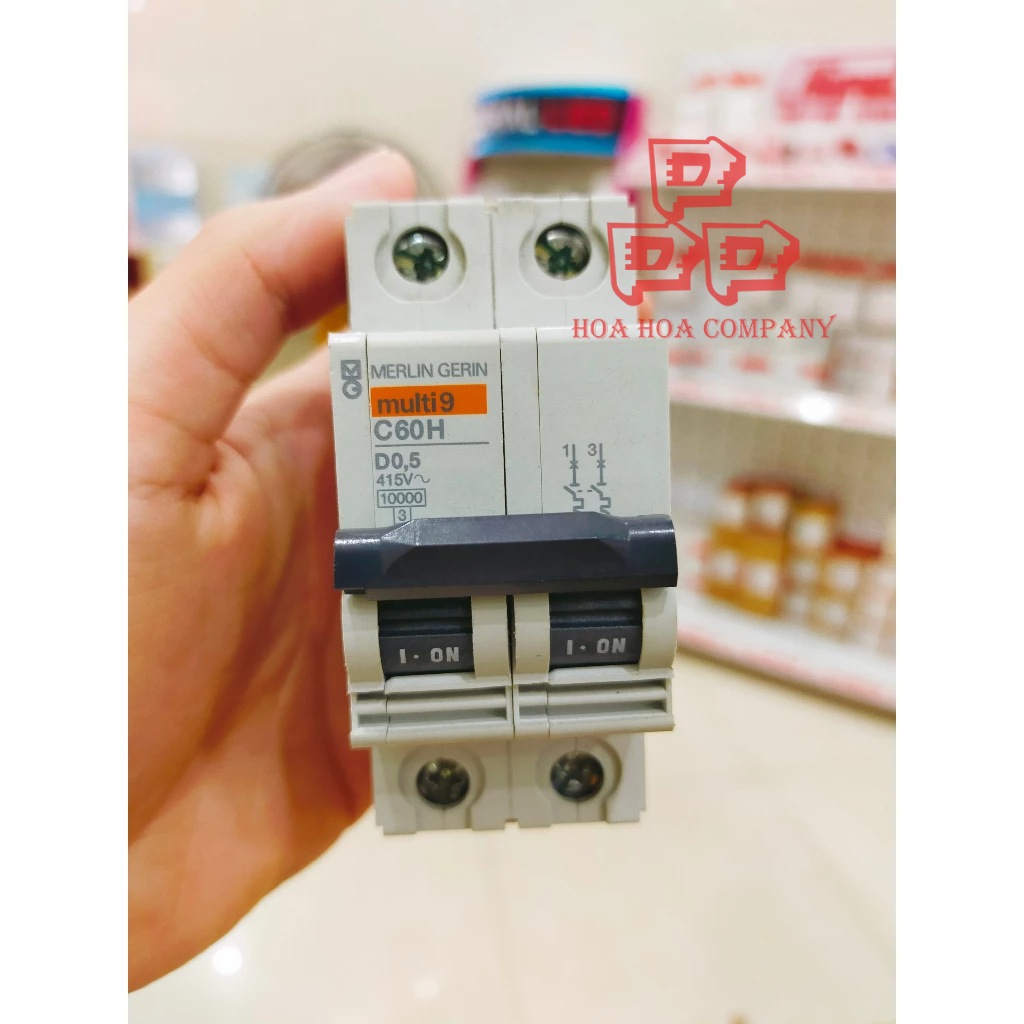 Cầu dao aptomat MCB C60A 2P Merlin Gerin - Schneider | Shopee Việt Nam