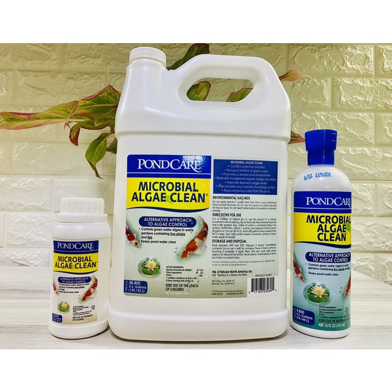 API Microbial Algae Clean - Vi sinh ăn tảo sống và bùn, bã hữu cơ ...