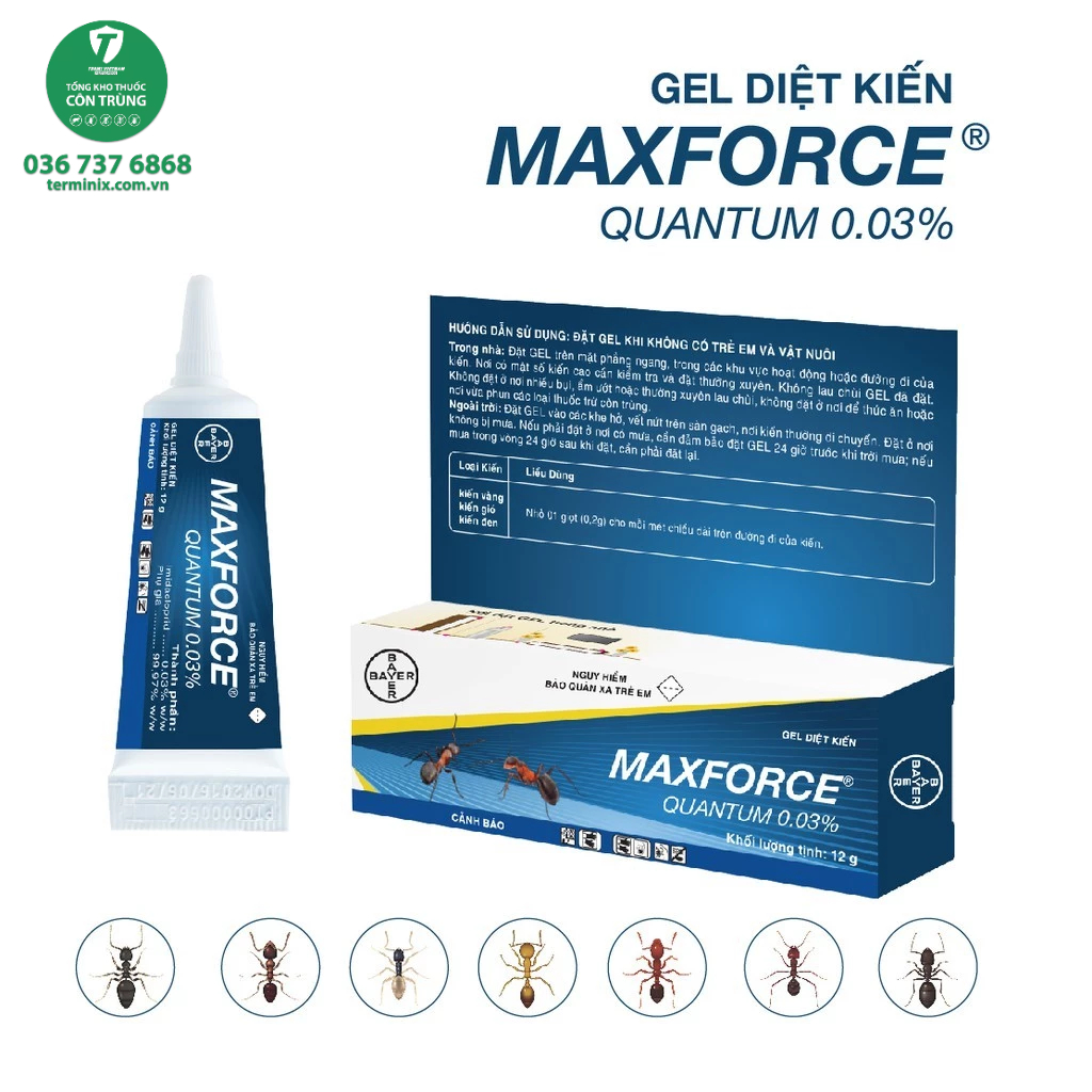 Bả Diệt Kiến Sinh Học MAXFORCE QUANTUM 0.03% - An Toàn Và Hiệu Quả | Shopee Việt Nam