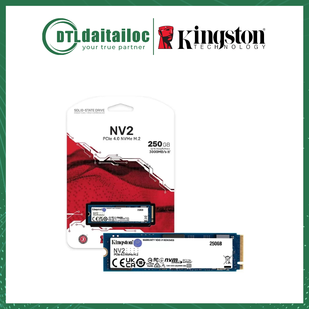 Ổ cứng SSD Kingston SNV2S 250GB PCIe NVMe M.2 (SNV2S/250G) |Hàng chính ...