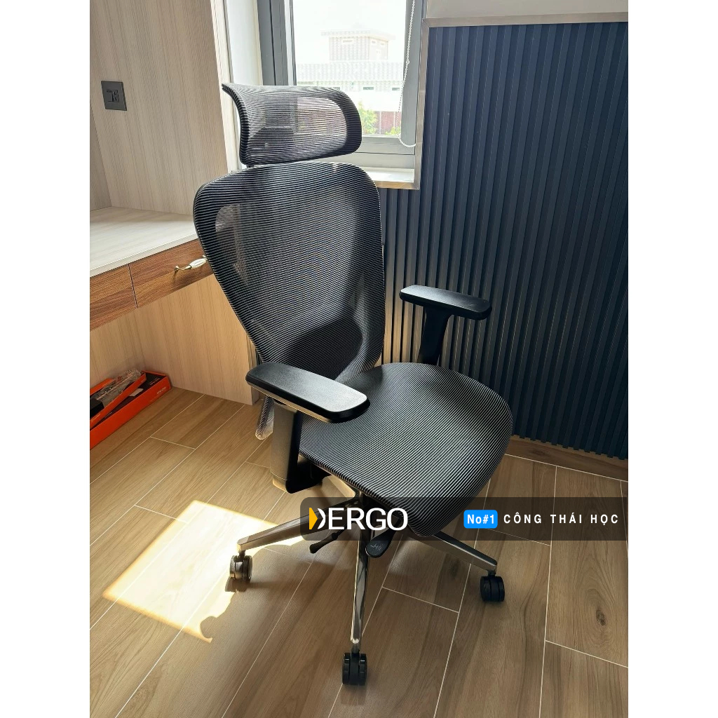 Ghế Công Thái Học DERGO Ergostuhl Q1 | Shopee Việt Nam