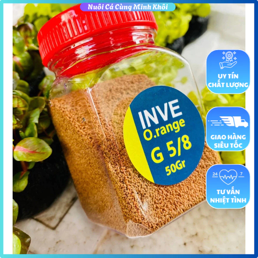 Cám thái inve 3/5, 5/8 thức Ăn cho cá thuỷ sinh | Shopee Việt Nam