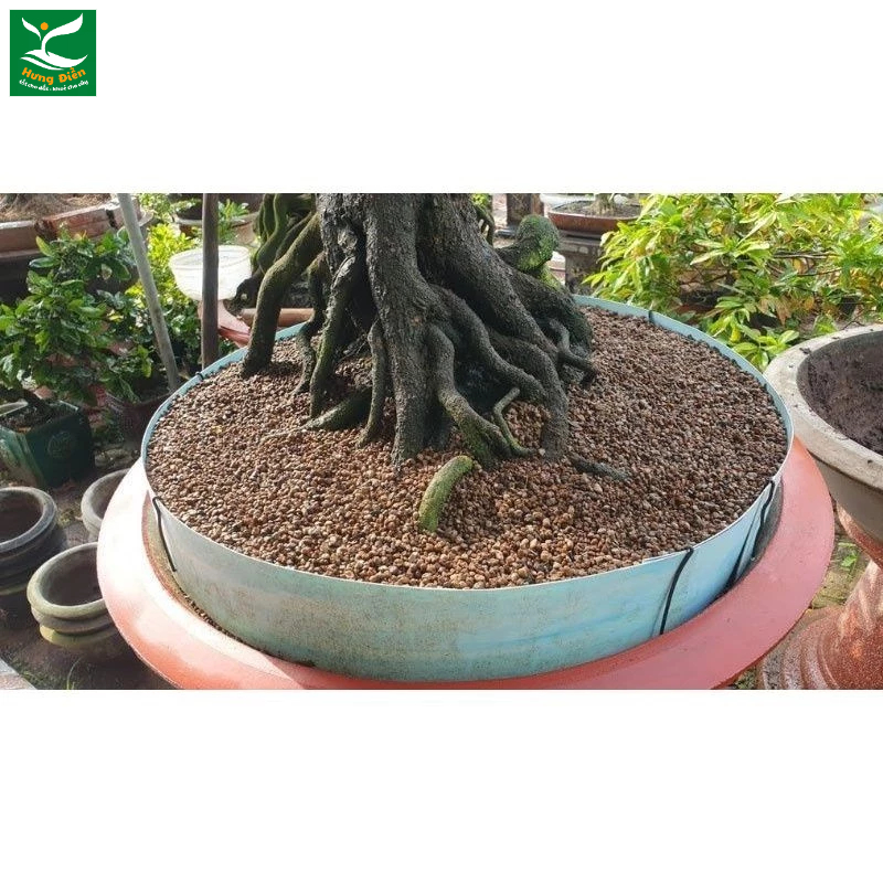 ĐẤT TRỒNG ĐỎ BONSAI AKADAMA 3-5MM trồng bonsai 1kg | Shopee Việt Nam