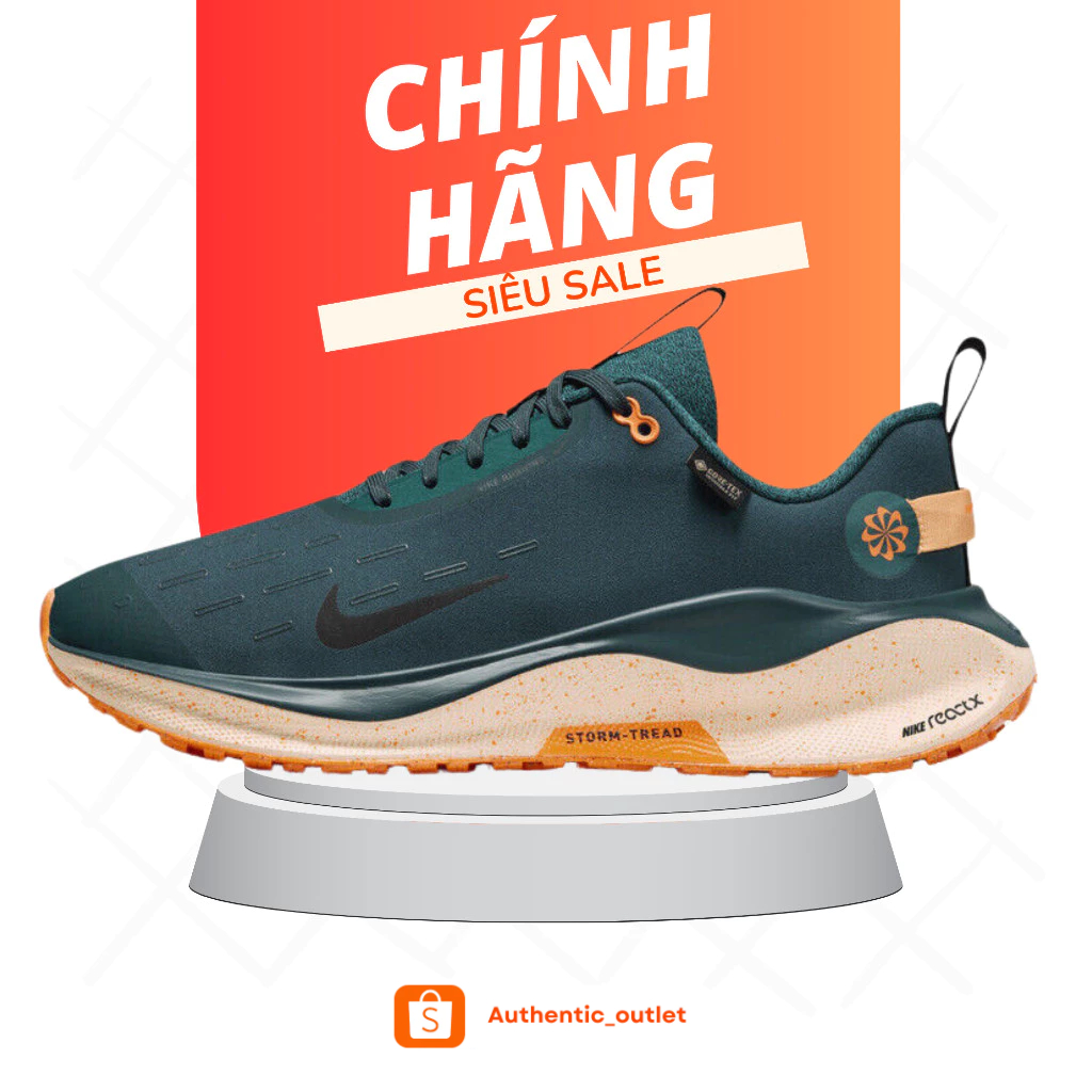 [CHÍNH HÃNG] Giày Nike ReactX Infinity RN 4 GTX Men's Running FB2204 ...
