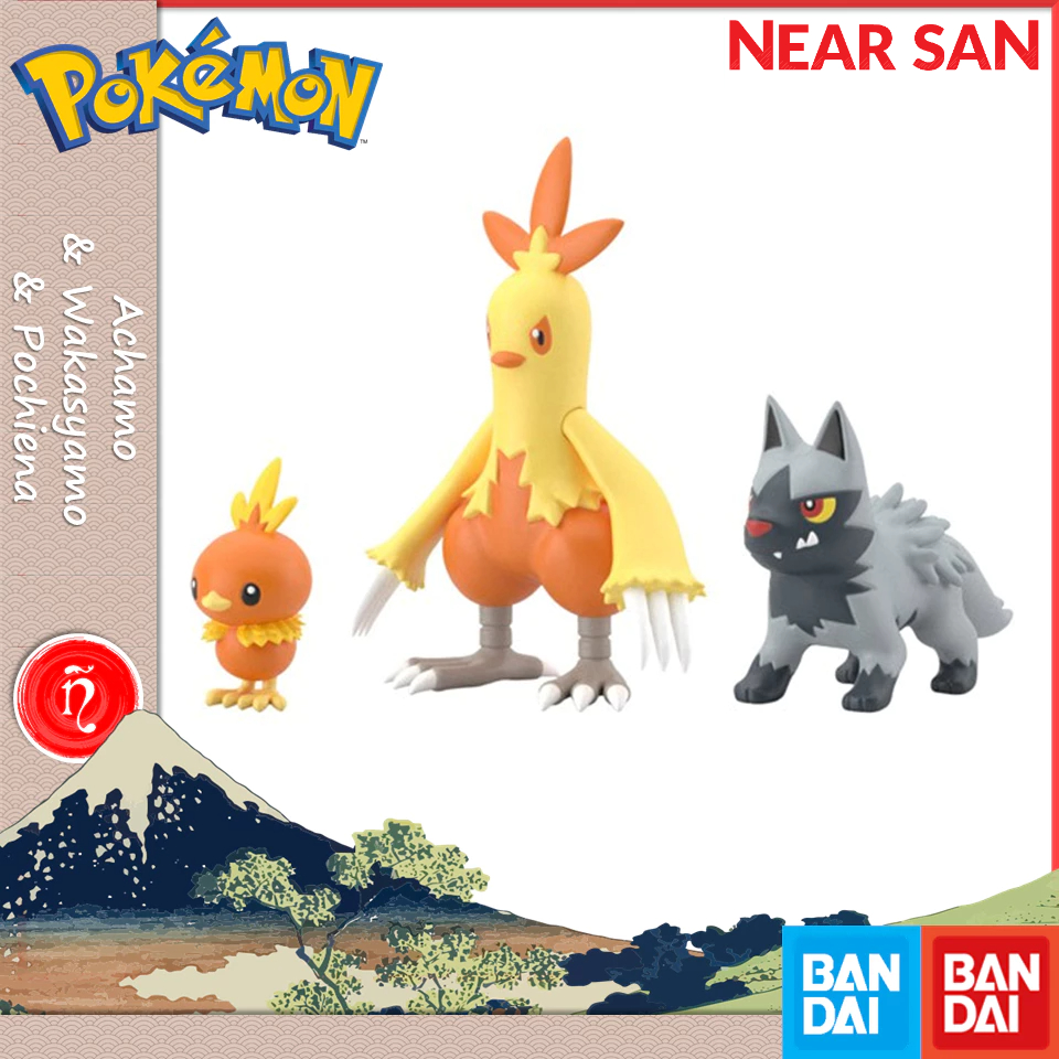 torchic (achamo) & combusken (wakasyamo) & poochyena (pochiena) mô hình ...